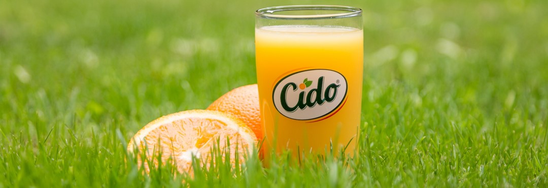 Ziņas - Cido